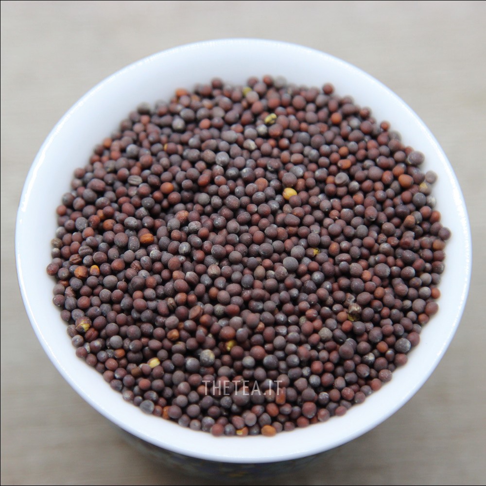 SENAPE SEMI MARRONE | The Tea Torino